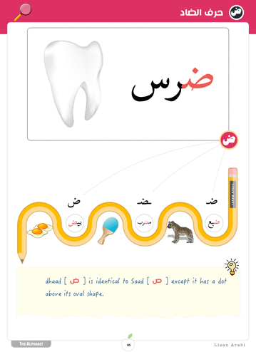 Arabic Alphabet Letter dhaad – Lisan Arabi